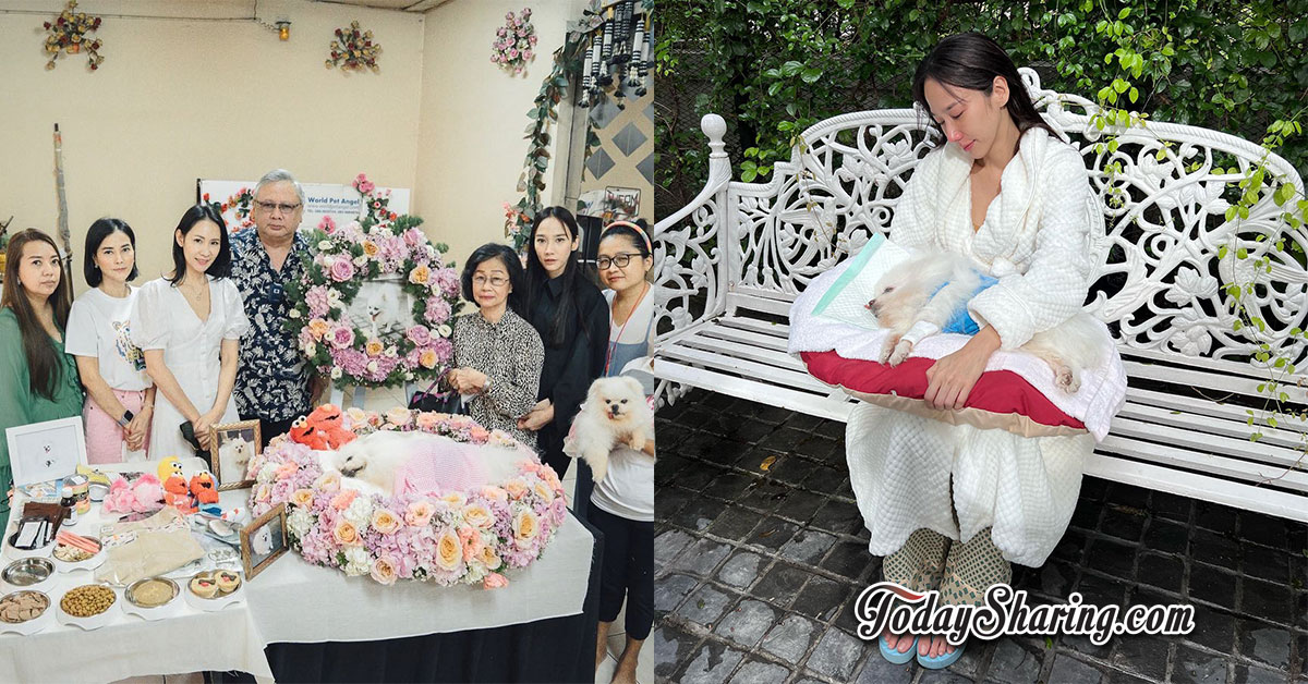 បរិយាកាសតារាស្រី aum_patchrapa ជូនដំណើរសត្វសំណប់ចិត្តទាំងអាល័យ ...